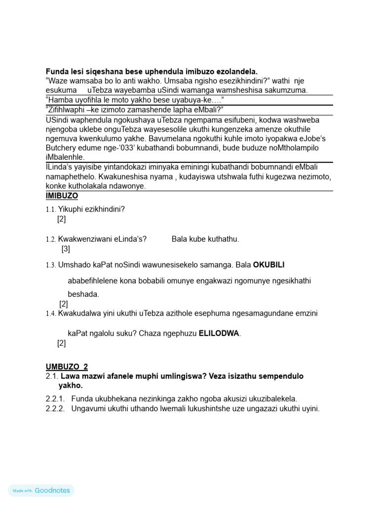 Amanyal'enyoka: Grade 11 Summary Guide | PDF