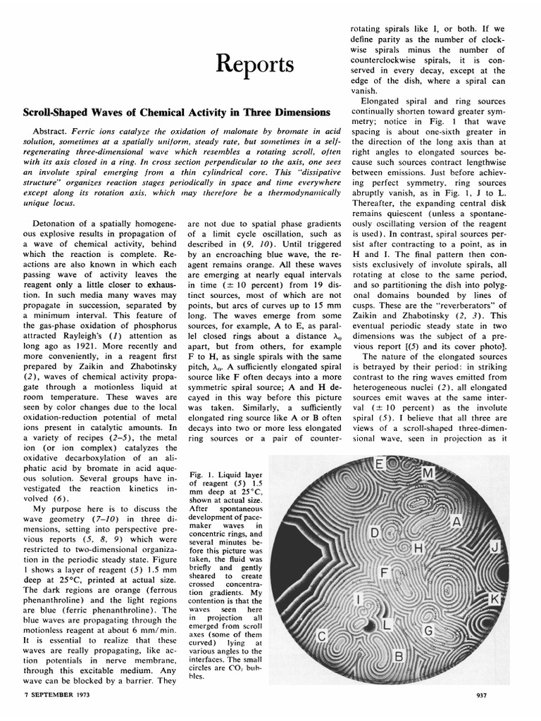 Arthur T. Winfree, (1973) - Scroll-Shaped Waves of Chemical Activity in ...
