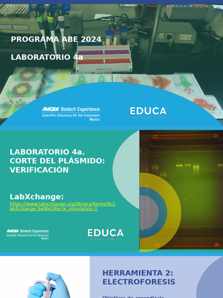 Lab 4a | PDF | Electroforesis | Biología Molecular