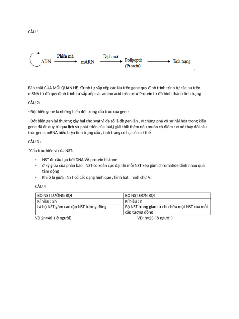 ĐỀ CƯƠNG SINH CKI | PDF