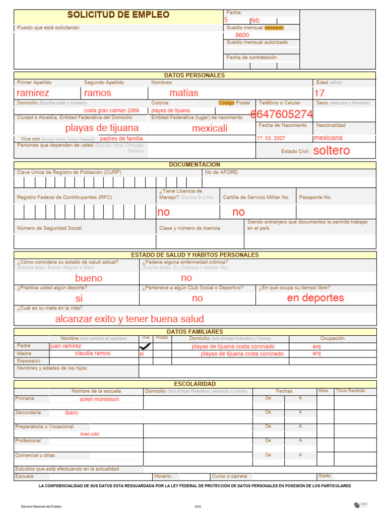 Sne Solicitud de Empleo Plantilla PDF | PDF