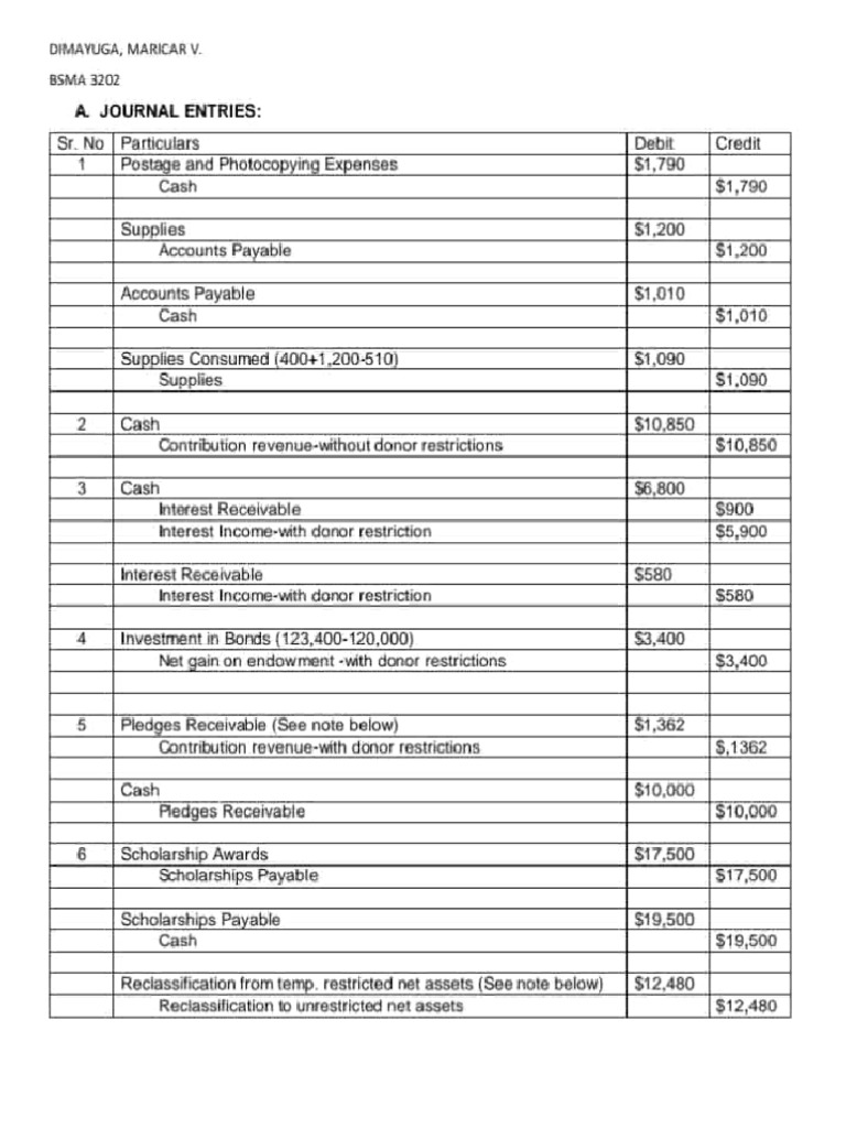 Dimayuga Maricar V Case Study | PDF | Cash Flow Statement | Balance Sheet