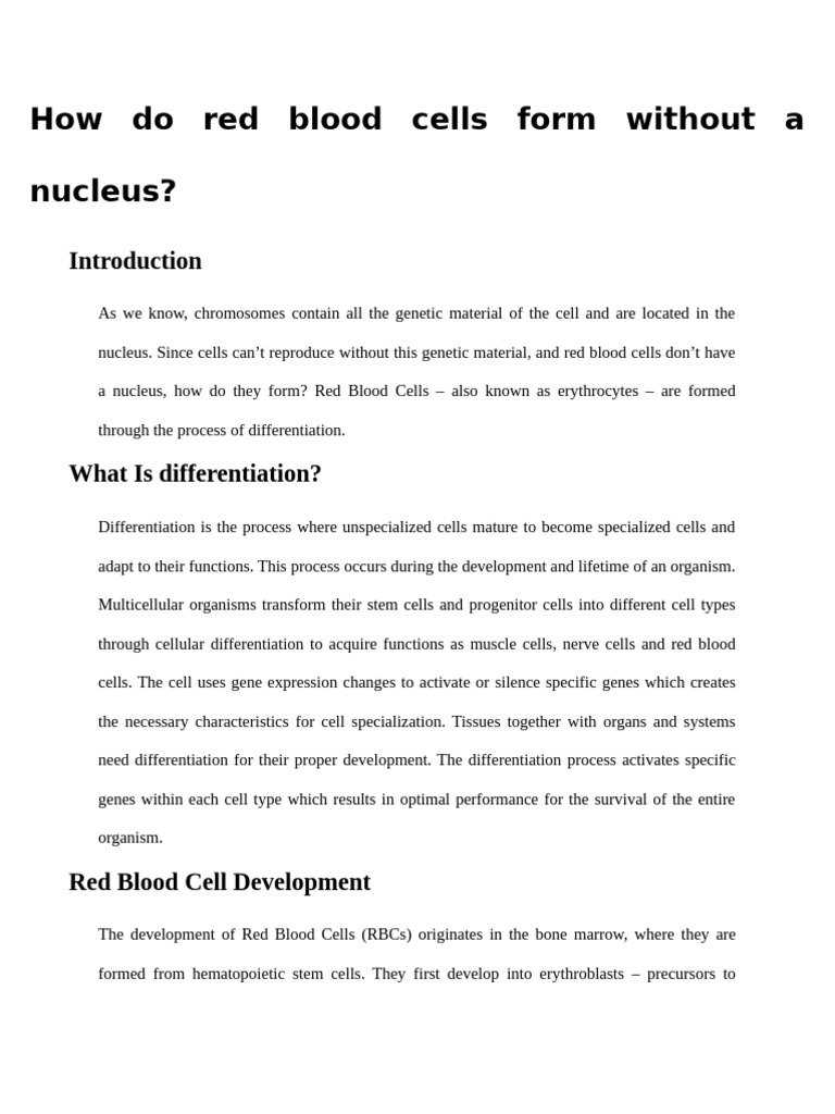 Formation of Red Blood Cells Without Nucleus | PDF | Red Blood Cell ...