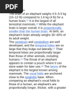 Elephant GI Anatomy & Physiology | PDF | Gastrointestinal Tract | Digestion