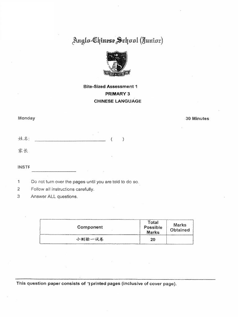 2024-P3-Chinese-Bite Sized Assessment-ACS (J) | PDF