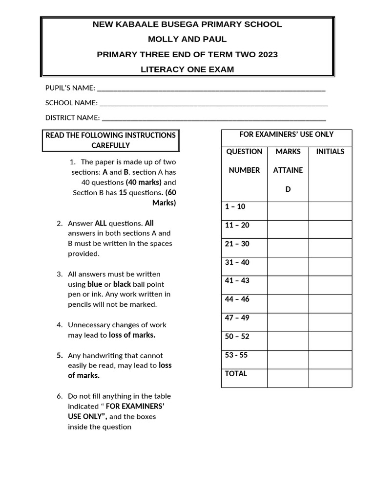 Primary Three Literacy Exam 2023 | PDF
