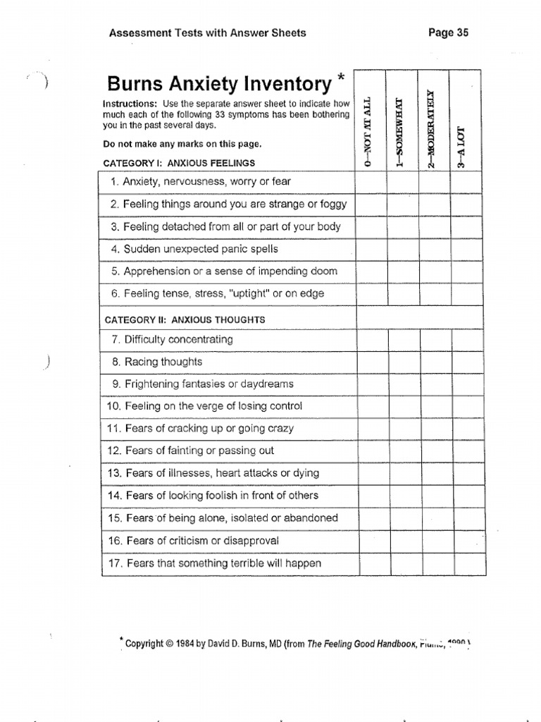 Burns Anxiety Inventory | PDF
