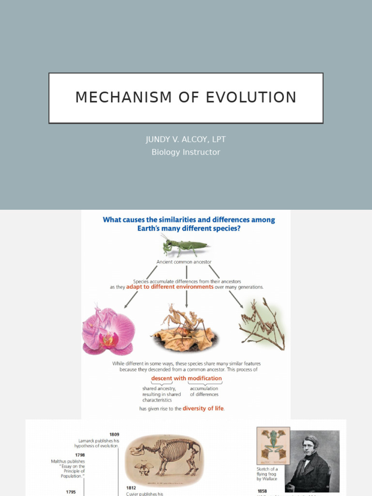 MECHANISM-OF-EVOLUTION | PDF | Natural Selection | Evolution