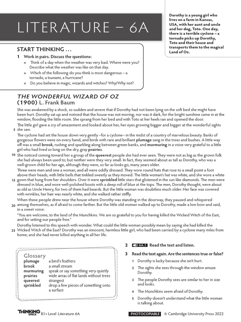 THKSP ES B1+ Literature Unit 6A | PDF | Dorothy Gale | The Wonderful ...