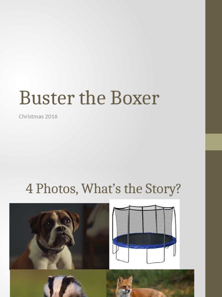 Buster The Boxer | PDF