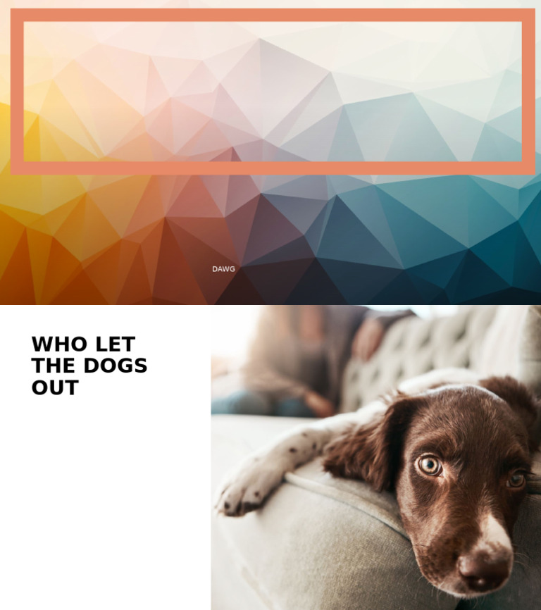 Dawgs | PDF