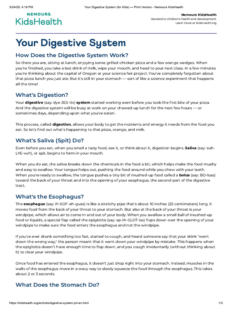 Digestive System For Kids Nemours KidsHealth MYP 1 | PDF ...