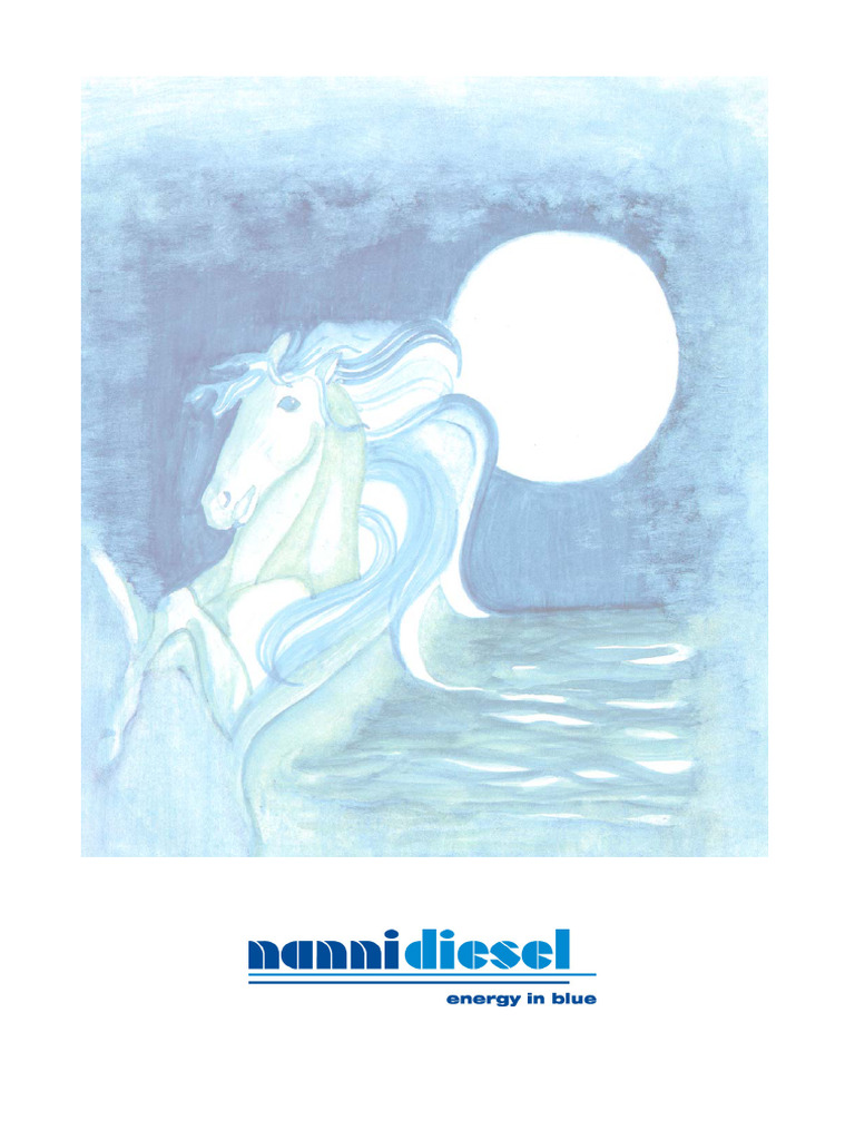 Nanni 5.250 TDI Workshop Manual | PDF | Engines | Piston