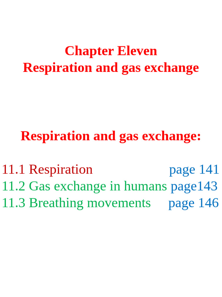Human Respiration and Gas Exchange Guide | PDF | Cellular Respiration ...