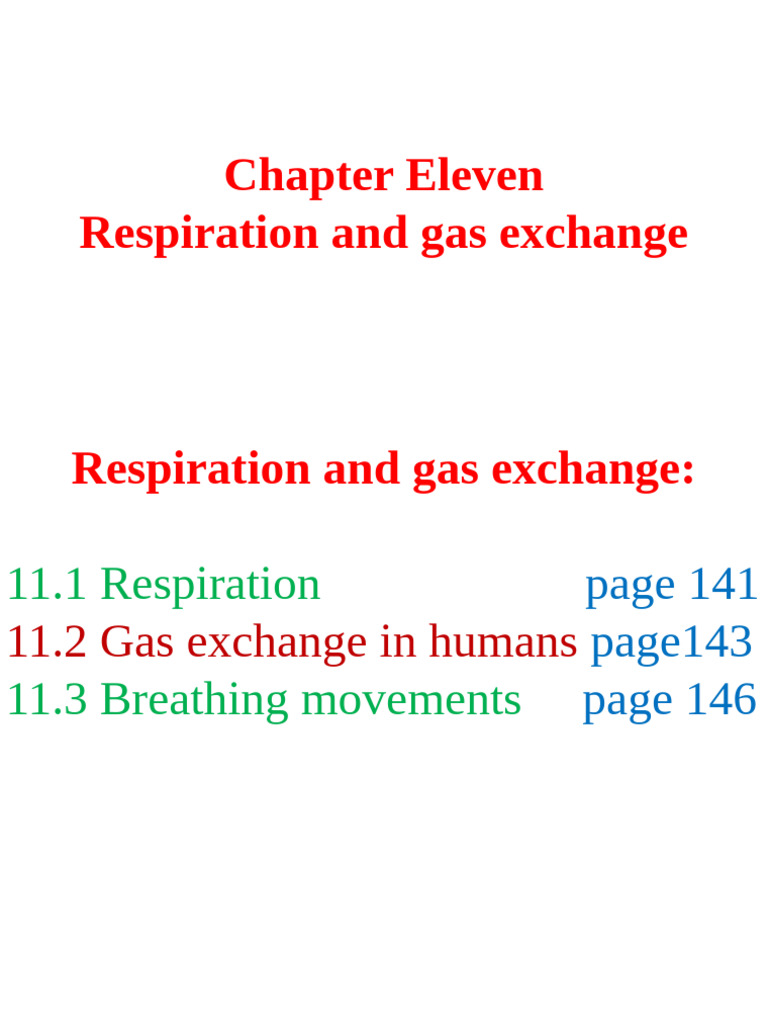 10th Grade Chapter 11 Part 2 (Gas Exchange in Humans) | PDF | Lung | Respiratory System