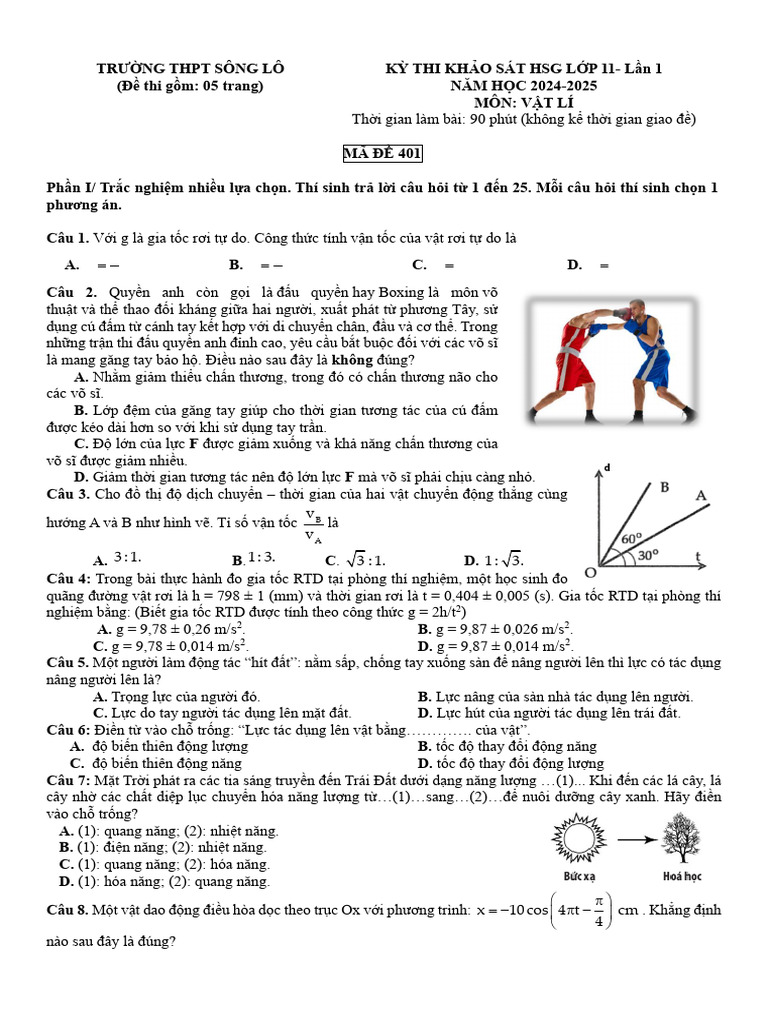 hsg11 Vatli L1 | PDF