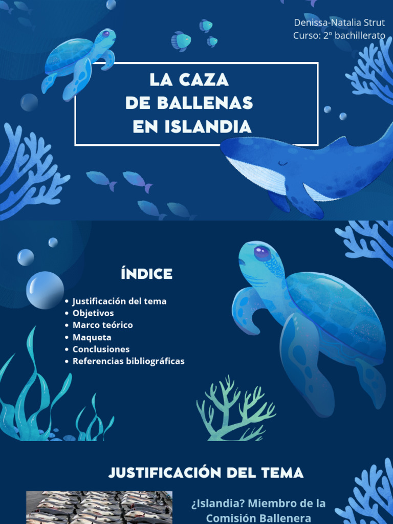 Caza de Ballenas en Islandia: Impacto y Leyes | PDF | Ballenero ...