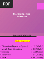 Types of Legs in Insects | PDF