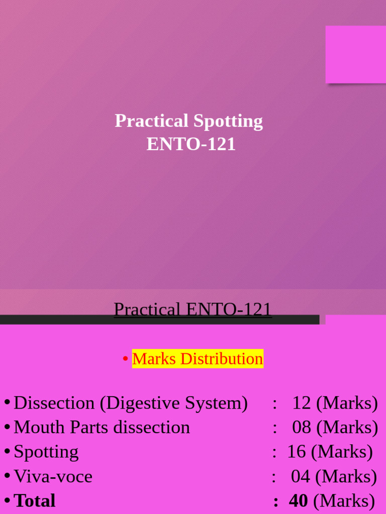 Practical Spotting For Ento 121 | PDF | Insects | Beetle