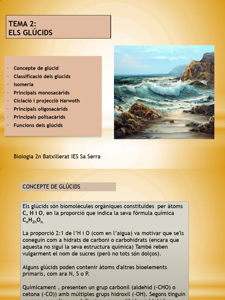 Tema 2. Els Glúcids-1 | PDF