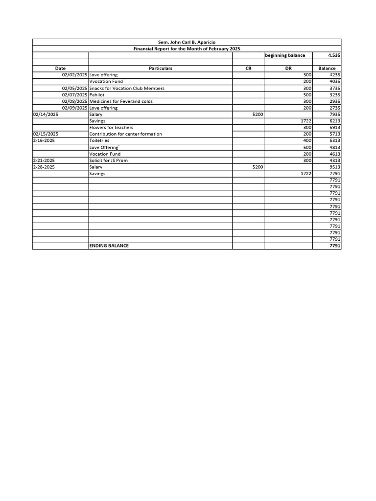 Aparicio financial report feb | PDF
