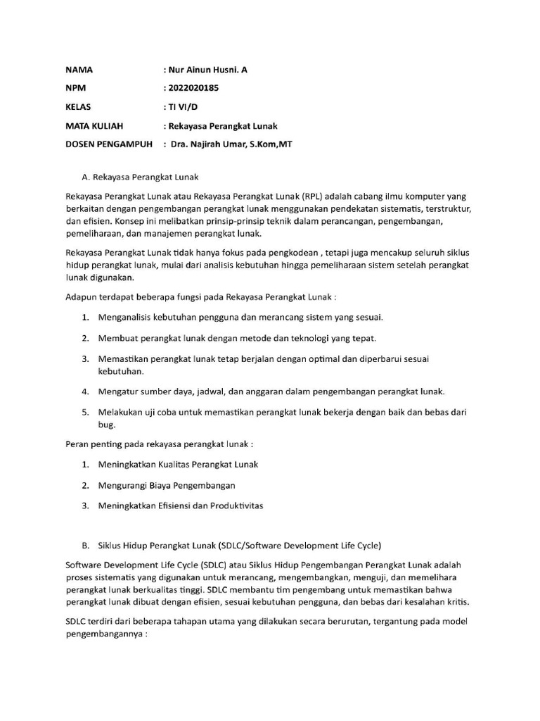 TUGAS 1 RPL Nur Ainun | PDF
