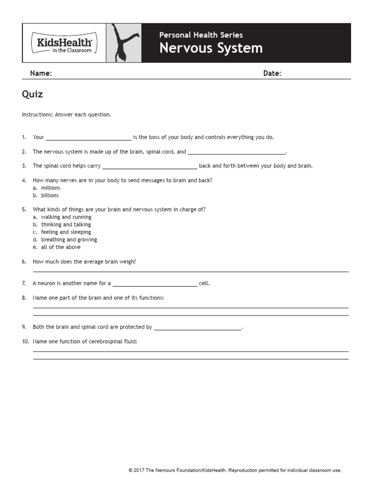 Nervous System Quiz | PDF