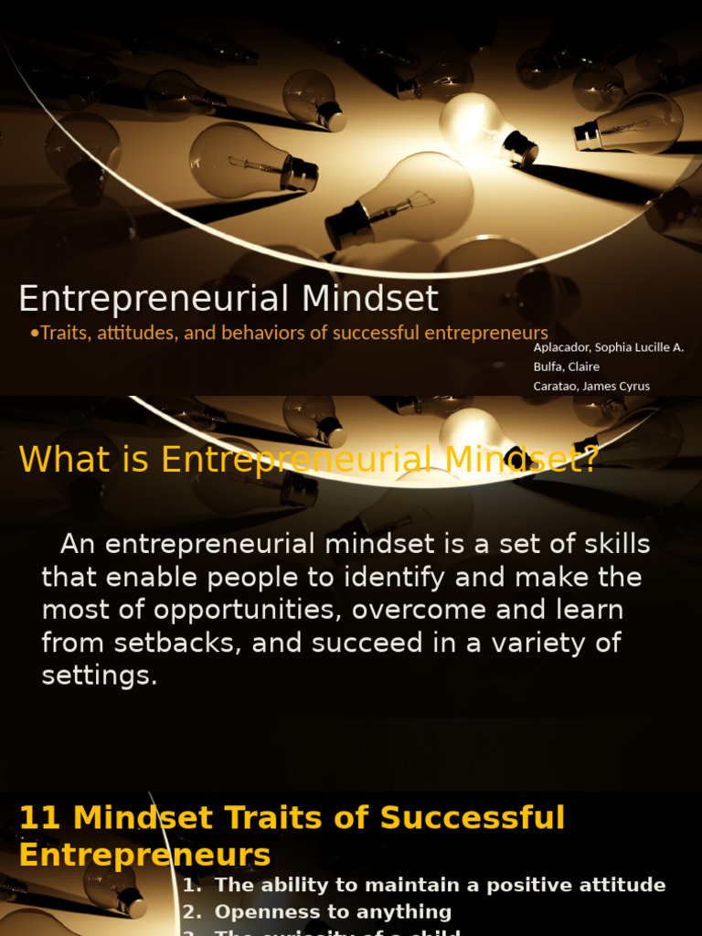 Key Traits of Entrepreneurial Mindset | PDF | Entrepreneurship | Mindset
