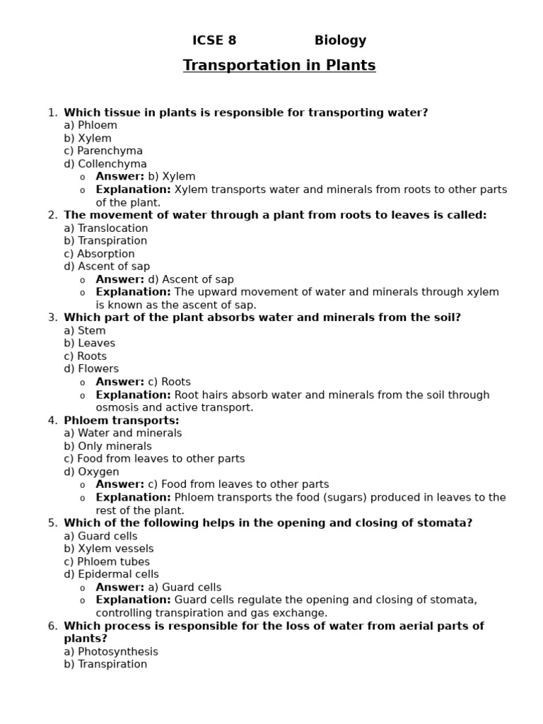 DPP 1 ICSE 8 Biology | PDF | Stoma | Leaf