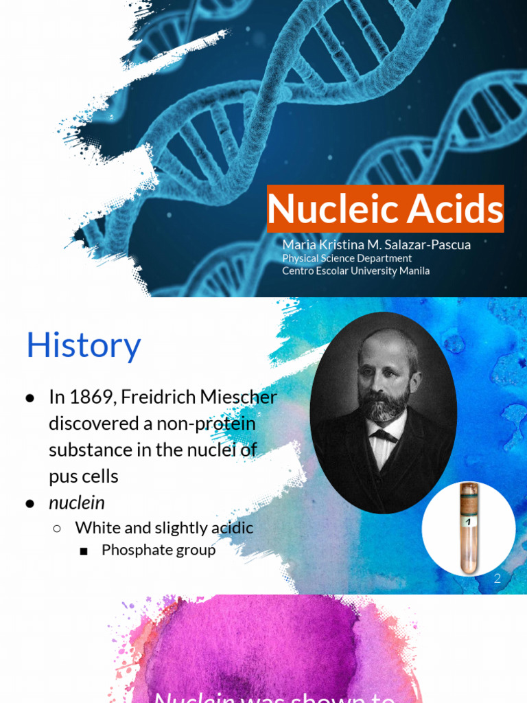 Nucleic Acids - 101524 | PDF | Dna Replication | Nucleic Acids