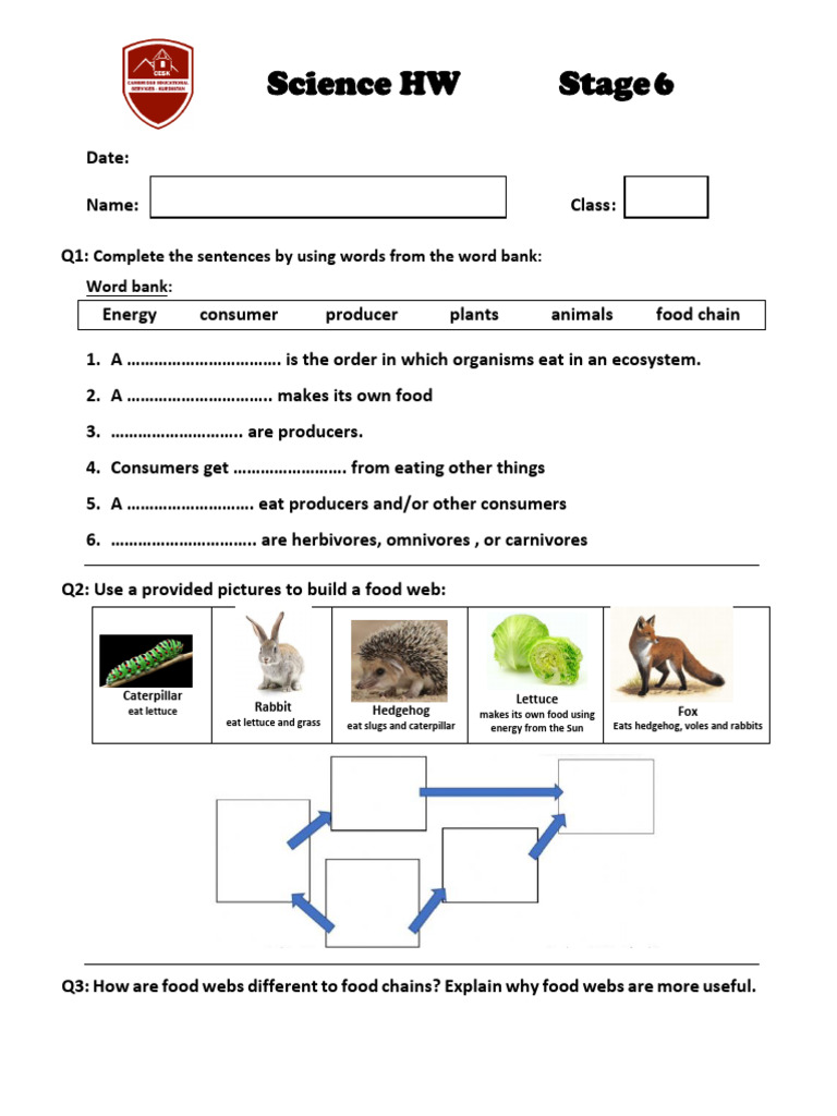 Stage 6 Science Winter Pack | PDF | Food Web | Foods