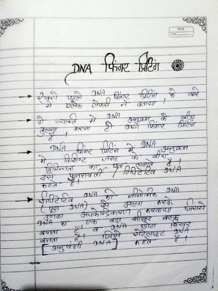 Adobe Scan 06 Jan 2025 | PDF