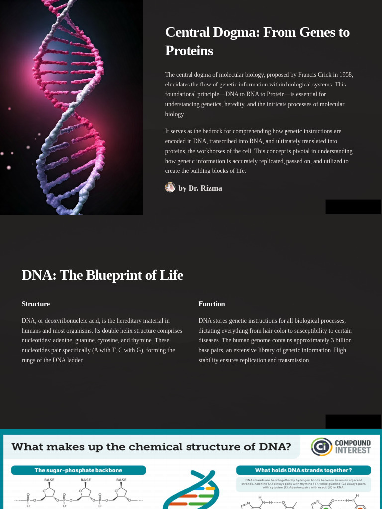 Central Dogma From Genes To Proteins | PDF | Rna | Dna Replication