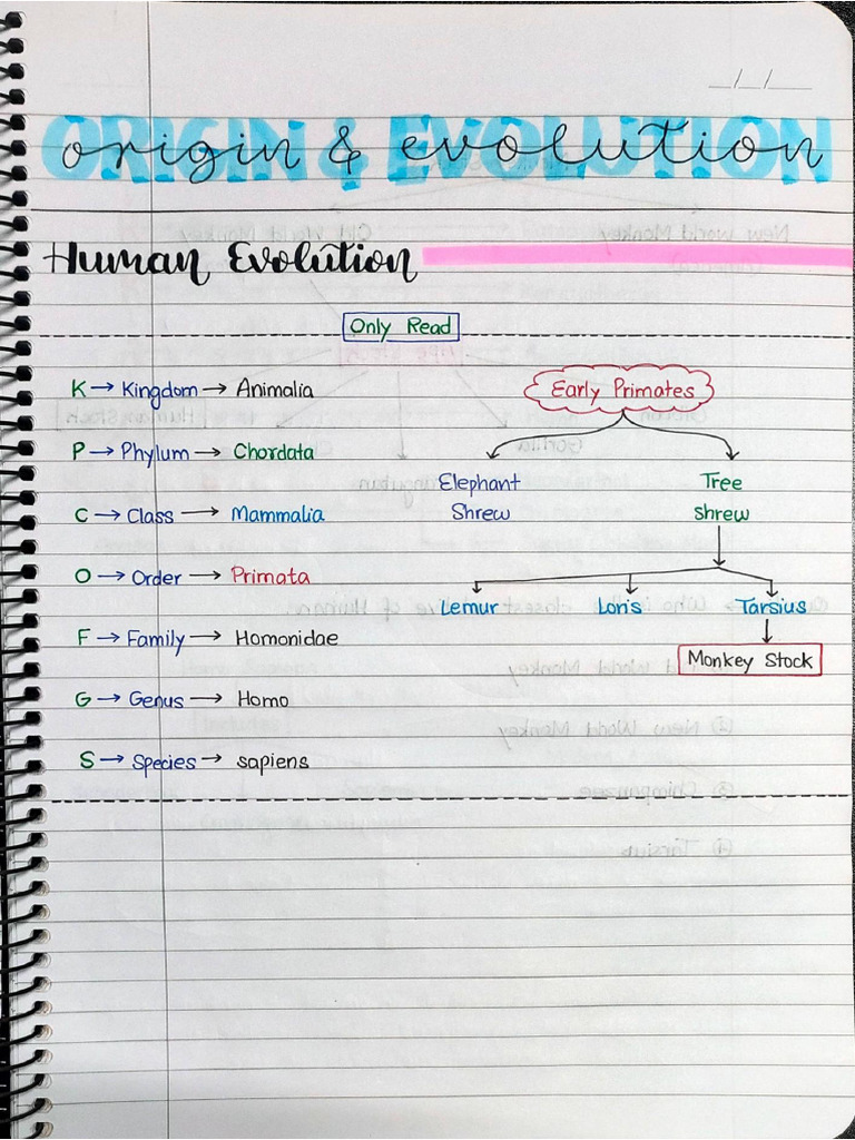 Origin Evolution Handwritten Notes | PDF