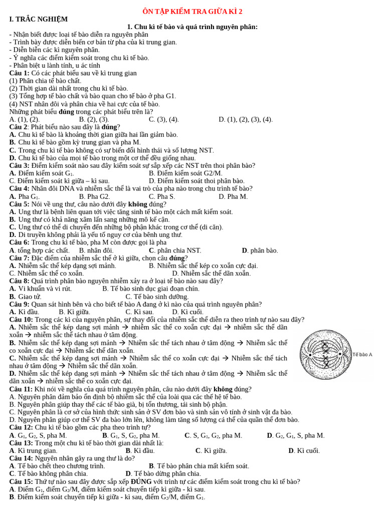 Đề cương Sinh GK | PDF