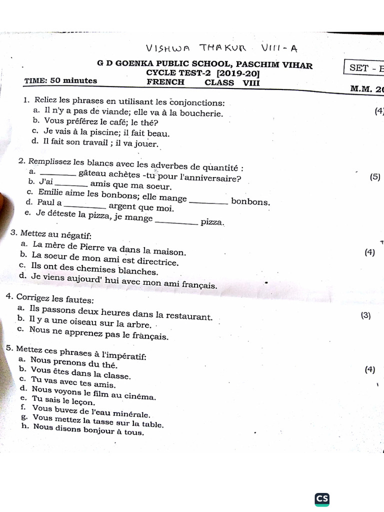 Class 7 - Cycle Test - GD Goenka Rohini | PDF