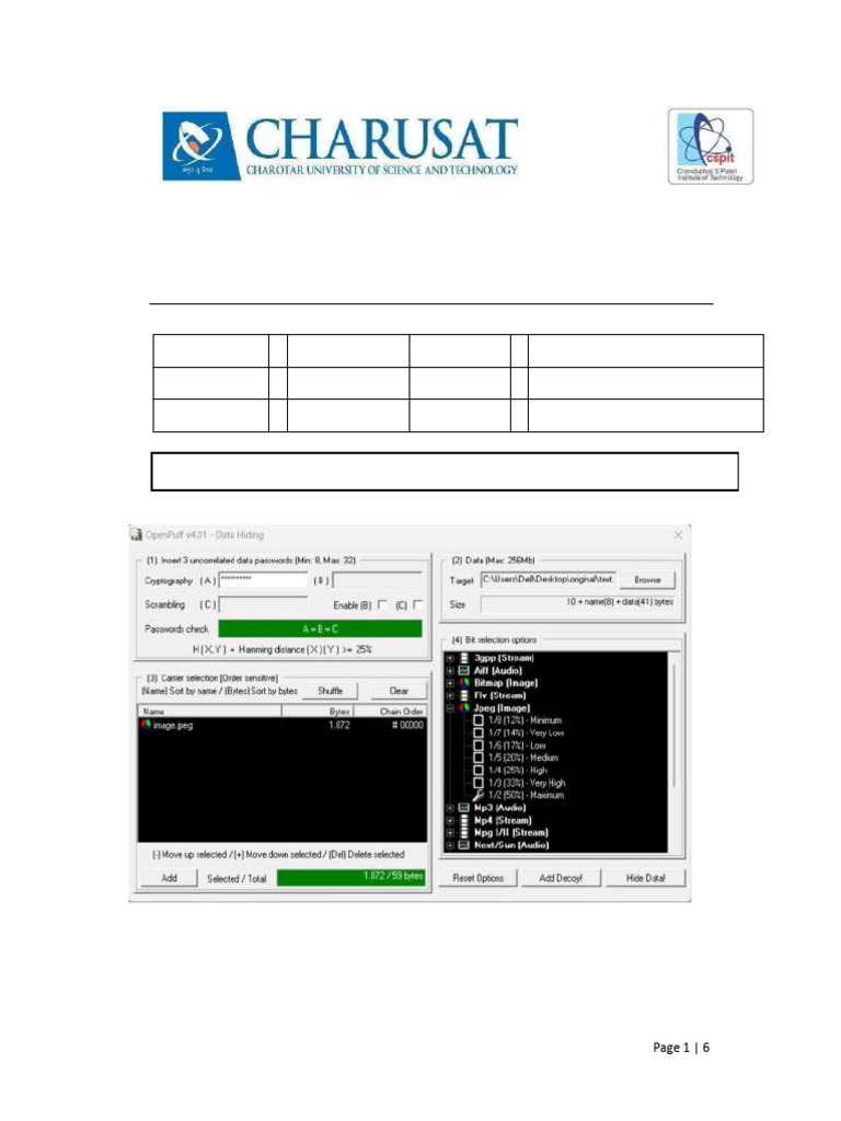 D22CS096 CRNS P4 | PDF