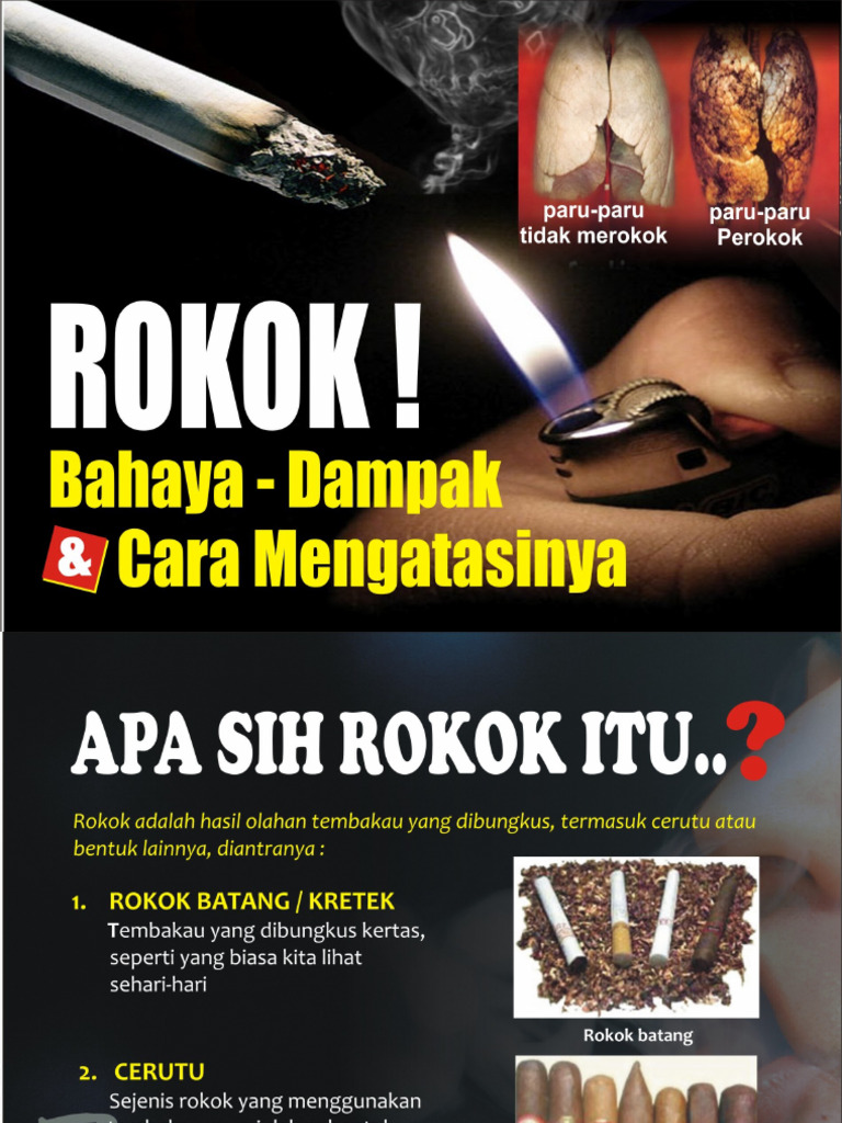 Dampak Rokok - 1 | PDF