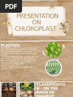 Chloroplast Labelled A Level Diagram | PDF | Chloroplast | Cell (Biology)