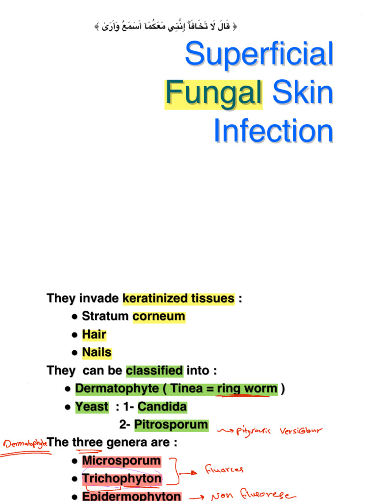 11-Cutaneous fungal infection | PDF | Candidiasis | Mycology
