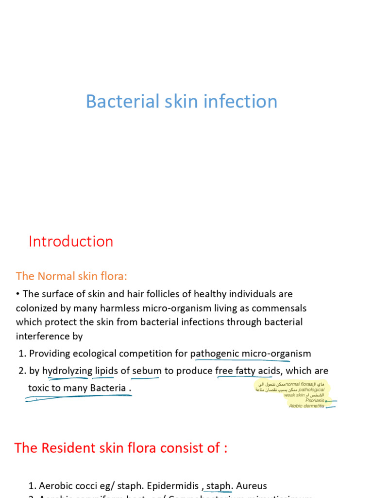 12-Bacterial Skin Infection | PDF | Staphylococcus | Human Diseases And ...