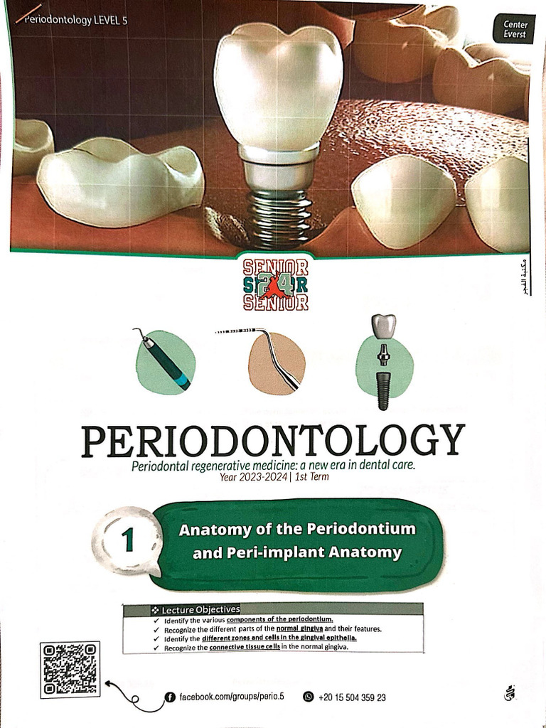 (Perio) Anatomy of Periodontium 1,2,3 | PDF