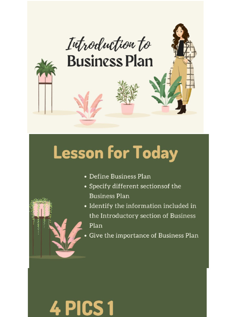 Business-Plan INTRODUCTION | PDF