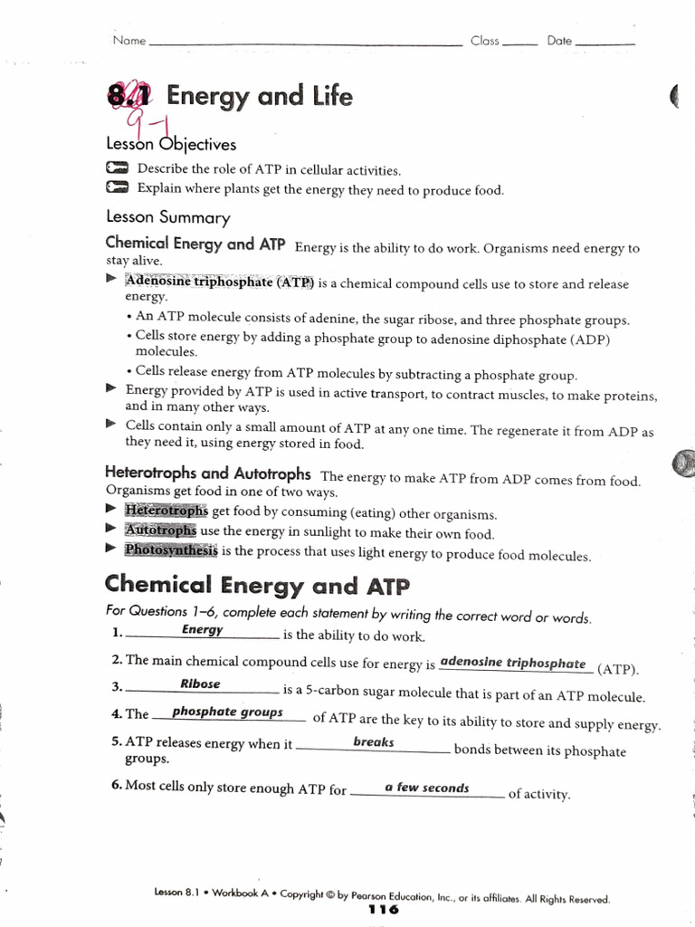 9-1 Practice Packet Answers | PDF