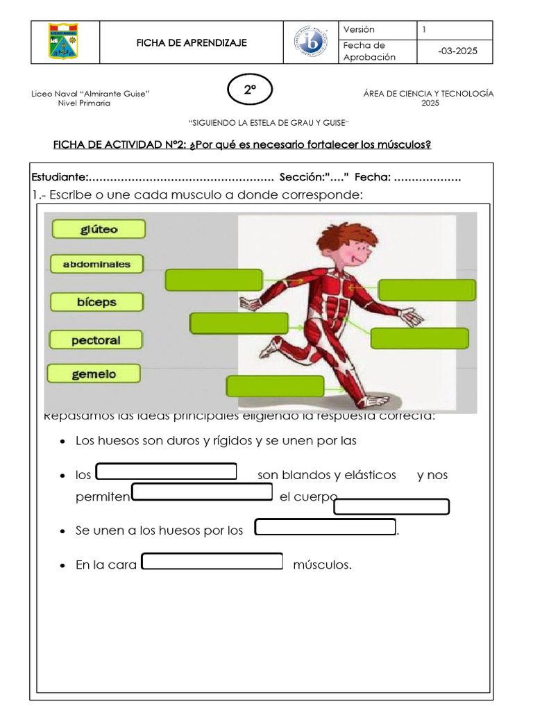 2do Ficha de Actividades Cyt 2025 | PDF