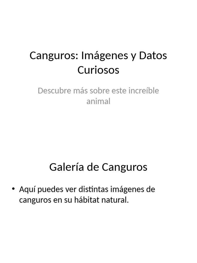 Presentación Canguros Imágenes y Curiosidades | PDF