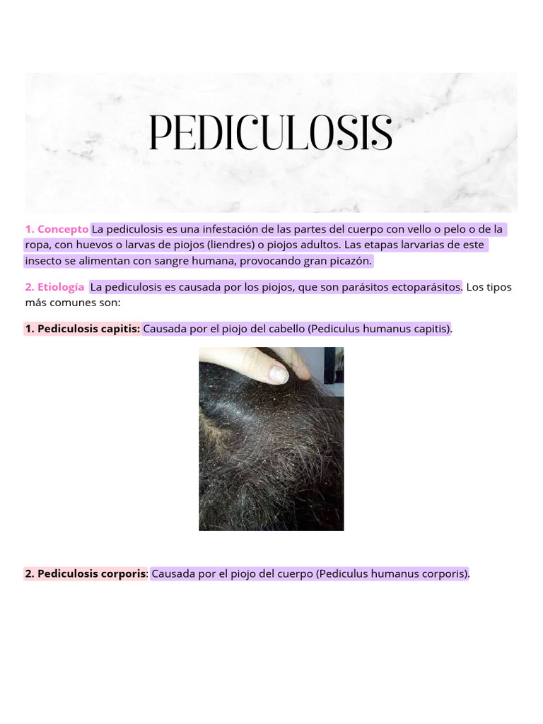 Guía Completa sobre Pediculosis | PDF