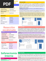 Safenectomia | PDF | Cirugía | Especialidades Medicas