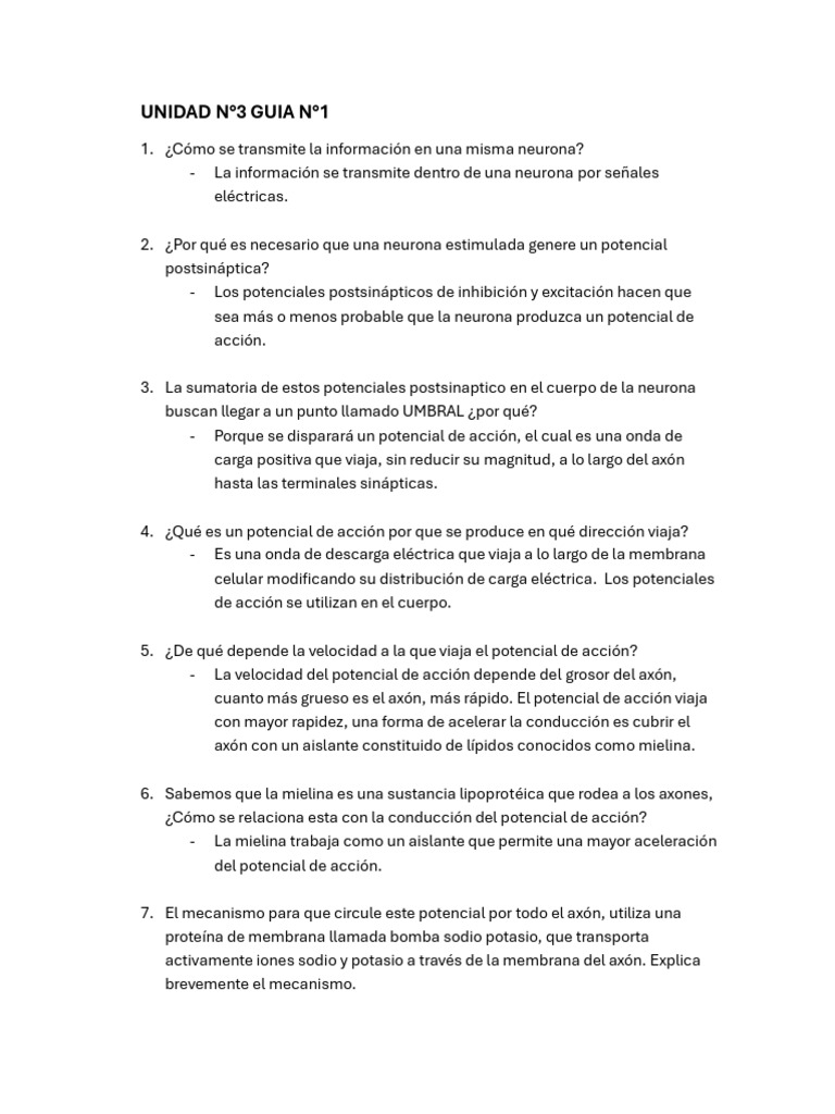 unidad n3 guía n1 bases | PDF | Sinapsis | Potencial de acción
