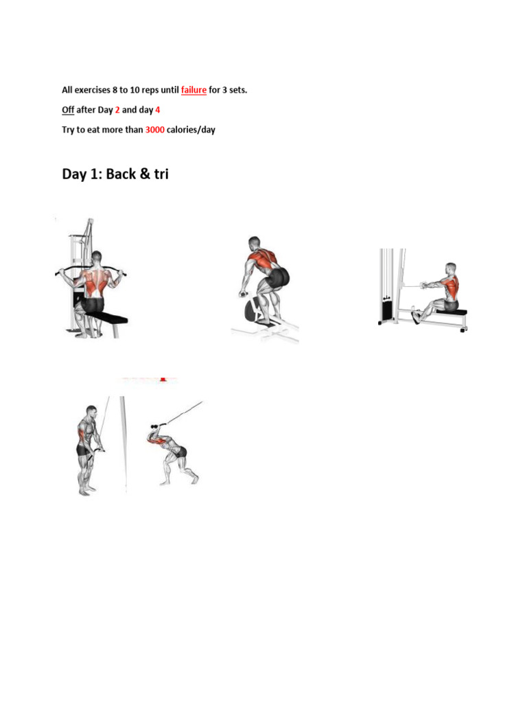 Ray's Workout plan | PDF